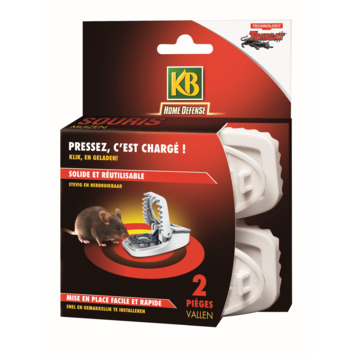 GAMMA | KB HD Muizenval Press'n Set 2 st. kopen? | ongediertebestrijding