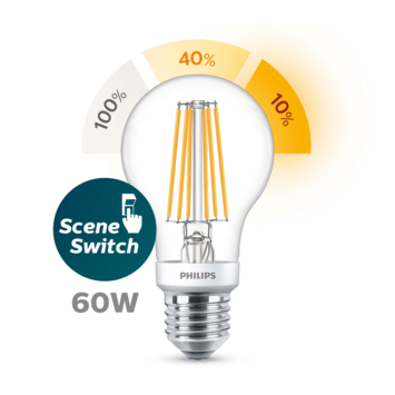 GAMMA | Philips LED peer E27 60W sceneswitch filament helder kopen? | led-lampen
